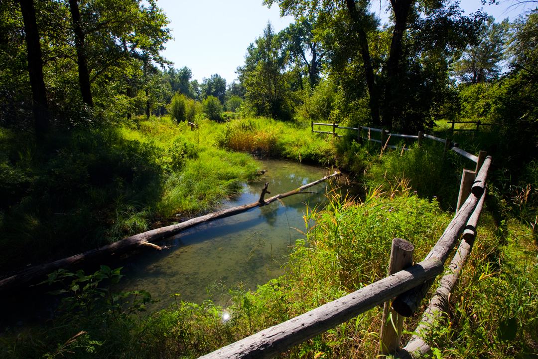 Interpretive Wetlands | Bow Habitat Station