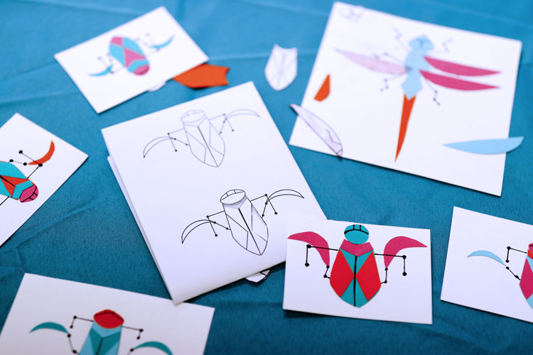 Bow After Hours | Bow Habitat Station